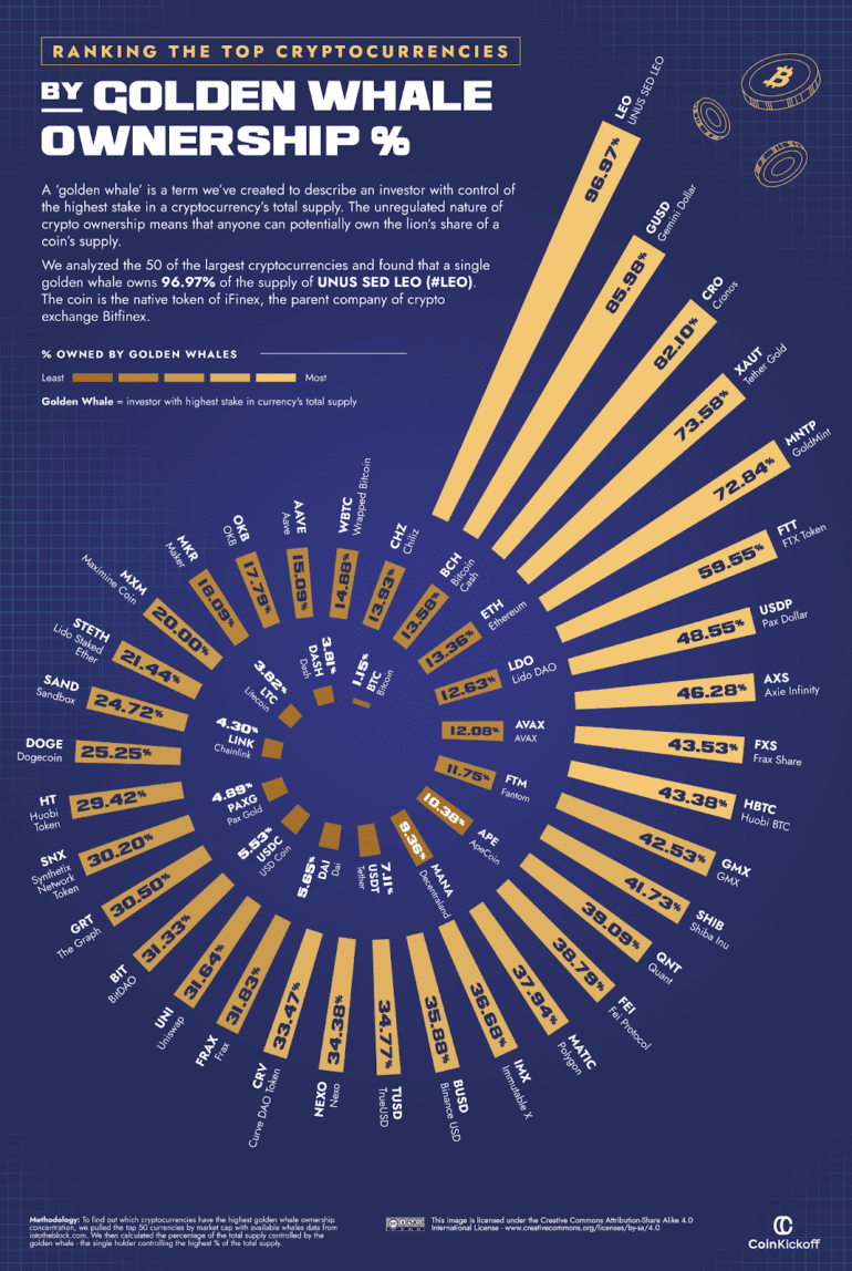 Crypto Whale - What Is a Whale in Crypto?