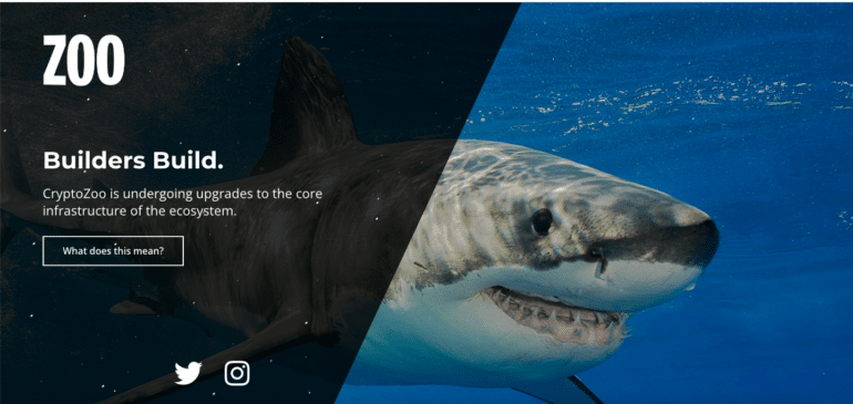 CryptoZoo: Rise and Fall of Logan Paul's NFT Project