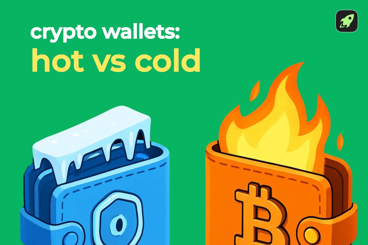 Hot vs. Cold Wallet for Crypto: Full Comparison for New Users